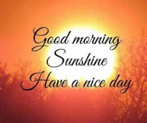 35 of the Good Morning Quotes And Images Positive Energy for Good ...