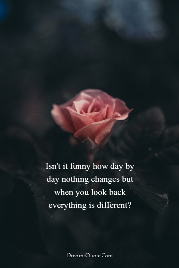 150+ Inspirational Quotes With Images - Dreams Quote
