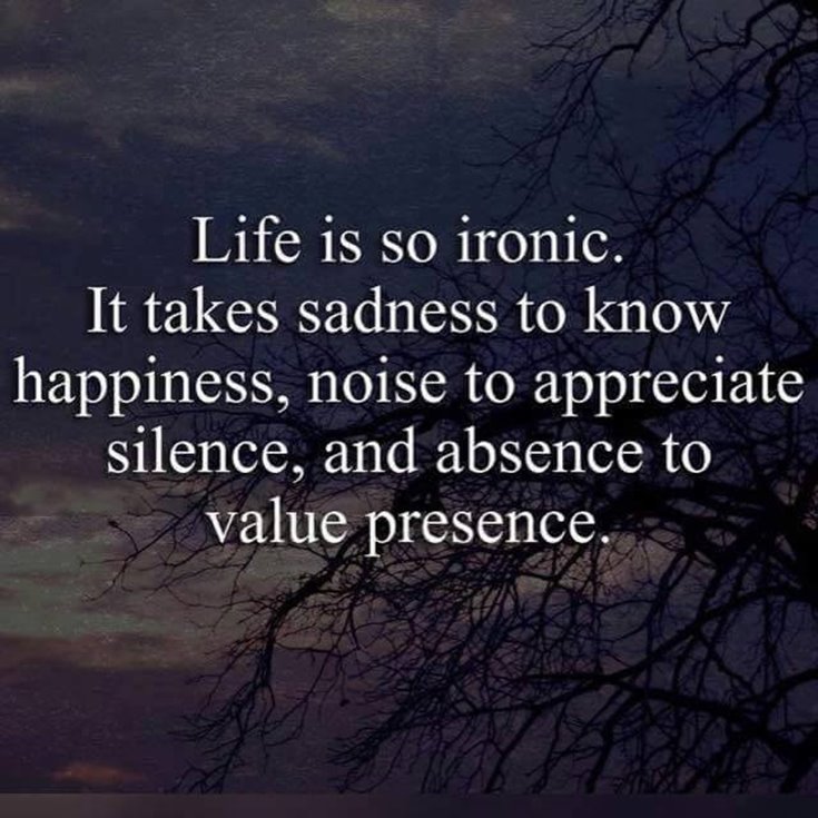 300 Motivational And Inspirational Quotes & Truth Quotes For Success ...