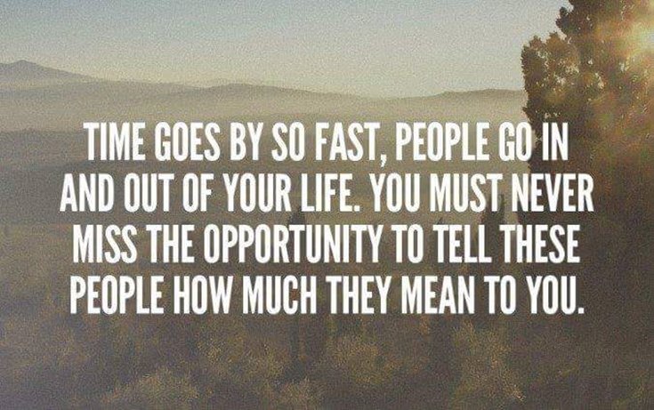 300 Motivational And Inspirational Quotes & Truth Quotes For Success ...