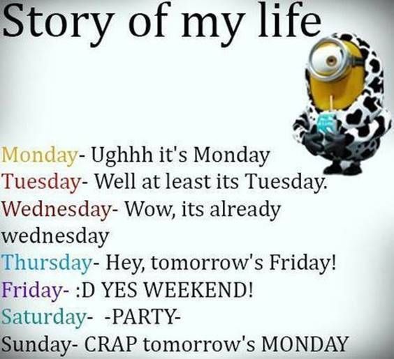 100 Hilariously Funny Minion Quotes With Attitude - Dreams Quote