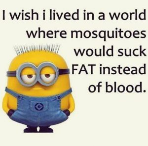 26 Funny Pictures to Make You Laugh Extremely - Dreams Quote
