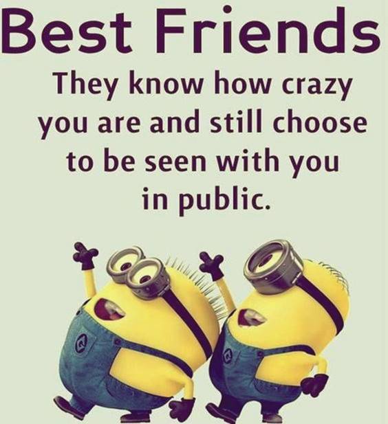 40 Crazy Funny Friendship Quotes For Best Friends Dreams Quote 40 Crazy Funny Friendship Quotes For Best Friends Dreams Quote