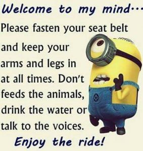 45 Best Funny Sarcastic Quotes images | Sarcasm Sayings - Dreams Quote