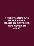 75 Best Friends Quotes: Life is Nothing Without Friendship - Dreams Quote