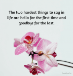 Top 120 Deep and Meaningful Goodbye Quotes of All Time to Say Farewell ...