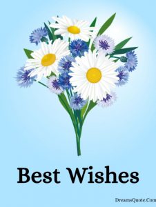150 Best Wishes, Messages, and Quotes for Good Luck - Dreams Quote