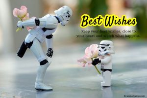 150 Best Wishes, Messages, and Quotes for Good Luck - Dreams Quote