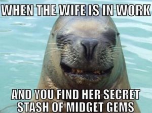45 Wife Memes That Perfectly Sum Up Married Life - Dreams Quote