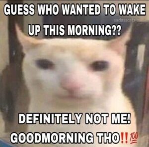 95 of the Good Morning Memes And Images Positive Energy for Good ...