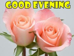 45 Best Good Evening Images And Quotes - Dreams Quote