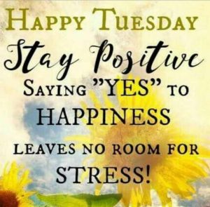 117 Funny Tuesday Memes | Best Sarcastic Tuesday Quotes Images - Dreams ...