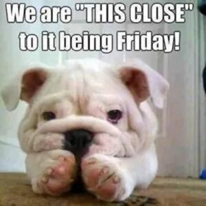 100 Really Funny Wednesday Memes to Make Brighten Your Hump day ...