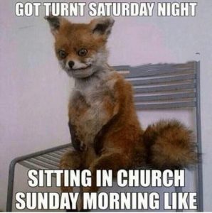 110 Hilarious Funny Saturday Memes to Make Brighten Your day - Dreams Quote