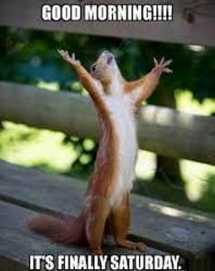 110 Hilarious Funny Saturday Memes to Make Brighten Your day - Dreams Quote