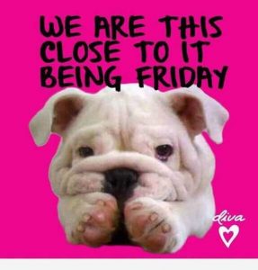 100 Really Funny Wednesday Memes to Make Brighten Your Hump day ...