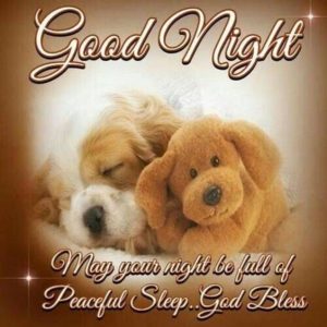 70 Relaxing Inspirational Good Night Messages and Quotes - Dreams Quote