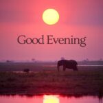 145 of the Good Evening Memes And Images Positive Energy for Good ...