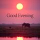145 of the Good Evening Memes And Images Positive Energy for Good ...