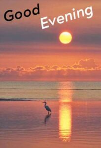 145 of the Good Evening Memes And Images Positive Energy for Good ...