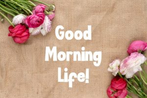 45 Beautiful Good Morning Life Images And Fun Quotes - Dreams Quote