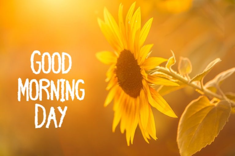 75 Good Morning Day Images With Pictures, And Happy Good Morning Pic ...