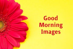 36 Special Good Morning Images With Pictures, And happy good morning ...