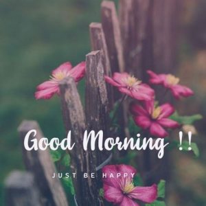 36 Special Good Morning Images With Pictures, And happy good morning ...