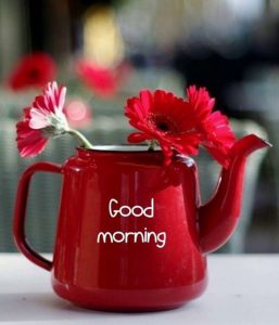 36 Special Good Morning Images With Pictures, And happy good morning ...