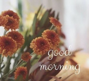 36 Special Good Morning Images With Pictures, And happy good morning ...