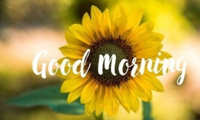 36 Special Good Morning Images With Pictures, And happy good morning ...