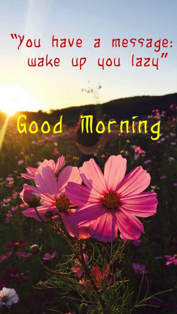 85 Cute Funny Good Morning Texts - Sarcastic Funny Images For Morning ...