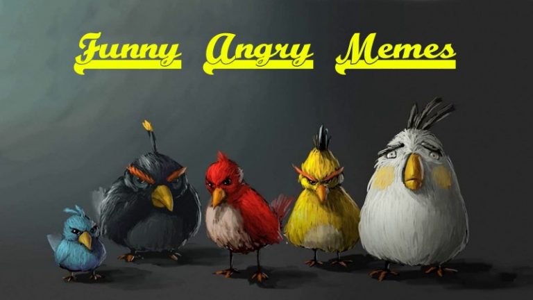 100 Angry Memes For Those With A Lot Of So Mad - Best Funny Pictures ...