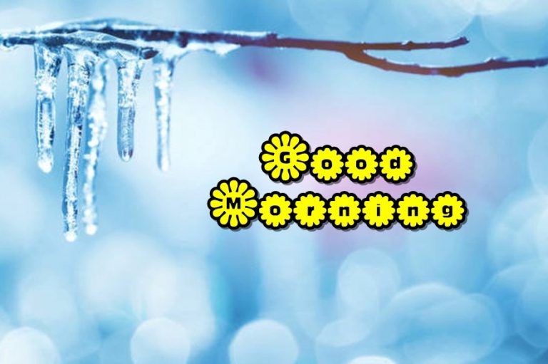 50 Winter Good Morning Images with Quotes - Best and Cute - Dreams Quote