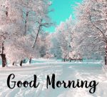 50 Winter Good Morning Images with Quotes - Best and Cute - Dreams Quote