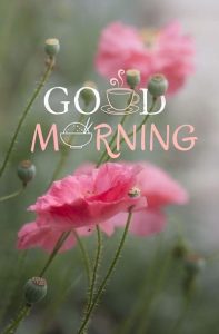 55 Good Morning Pics And Beautiful Images - Dreams Quote