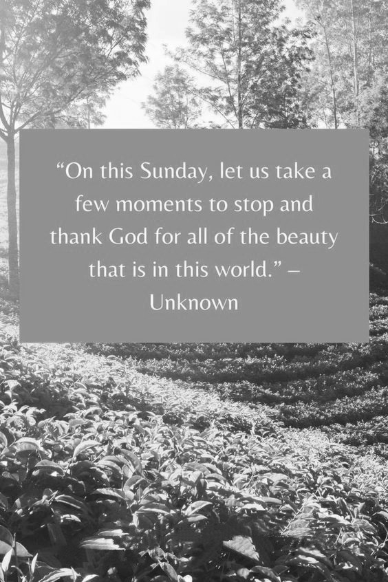 100 Best Sunday Quotes to Uplift and Inspire You - Dreams Quote