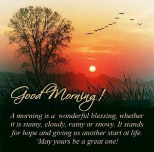 56 Best Good Morning Greetings Images, Wishes, Messages - Dreams Quote