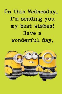 150+ Happy Wednesday Memes of All Time - Dreams Quote