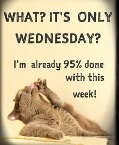 150+ Happy Wednesday Memes of All Time - Dreams Quote