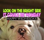 150+ Happy Wednesday Memes of All Time - Dreams Quote