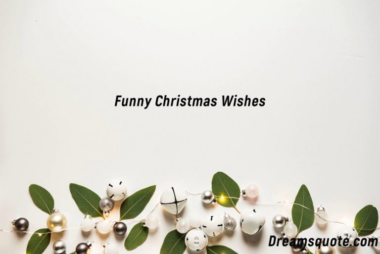 50 Funny Christmas Wishes and Images - Dreams Quote