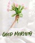 125+ Motivational Good Morning Quotes With Beautiful Images