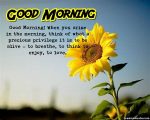 125+ Motivational Good Morning Quotes With Beautiful Images