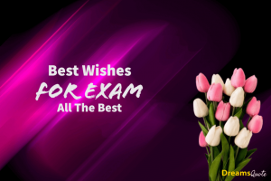 180+ Best Wishes for Exam & Good Luck Messages - DQ