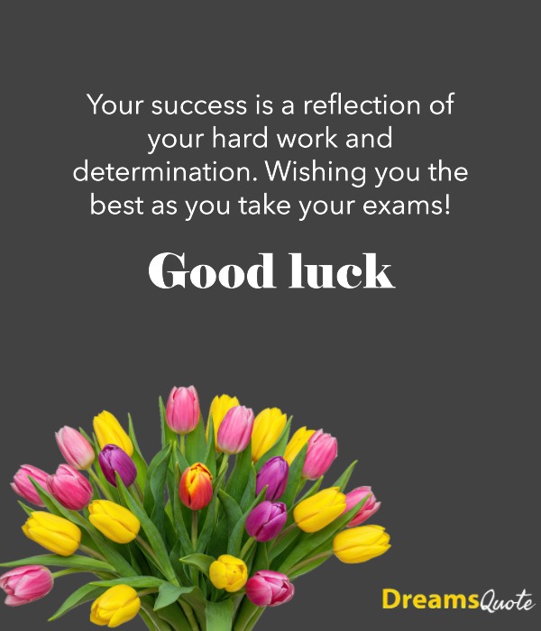 180+ Best Wishes for Exam & Good Luck Messages - DQ