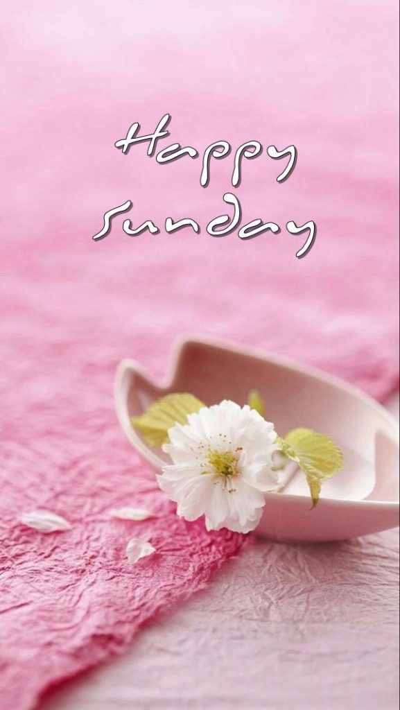 135 Happy Sunday Wishes - Beautiful Messages - Dreams Quote