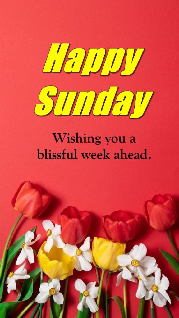 135 Happy Sunday Wishes - Beautiful Messages - Dreams Quote