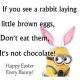 60 Funny Happy Easter Memes - Dreams Quote