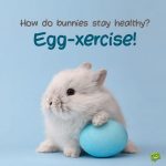 60 Funny Happy Easter Memes - Dreams Quote